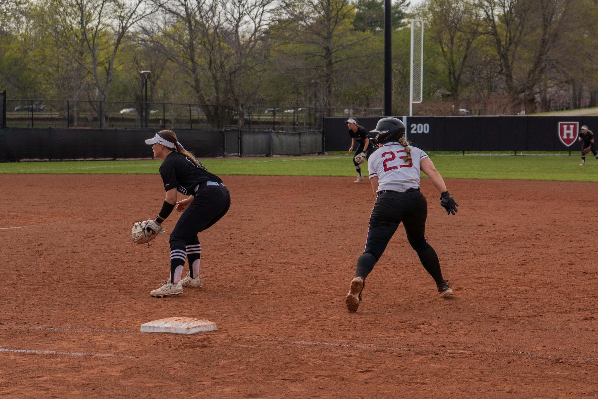 Harvard Softball’s Win Streak Ends with Loss to Brown in 1-2 Series ...