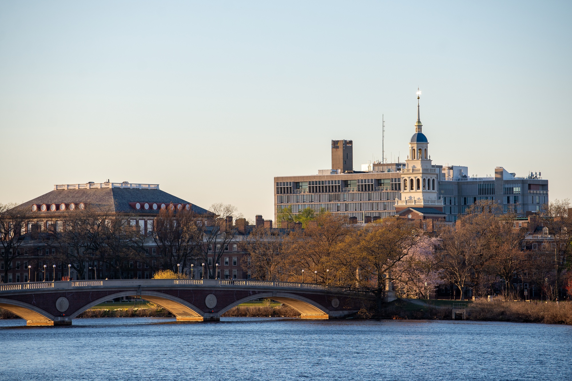 Harvard Is Fighting Trump In Court, Again. Here’s What to Know. | News ...
