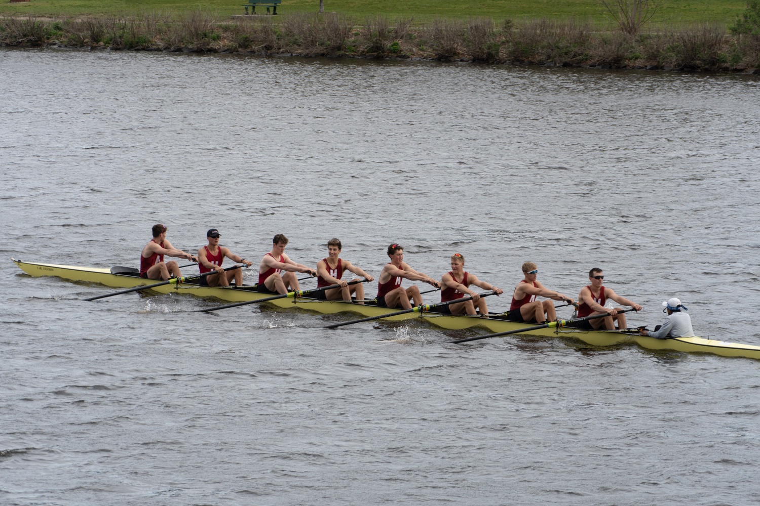 Harvard Men's Rowing at Practice | Magazine | The Harvard Crimson
