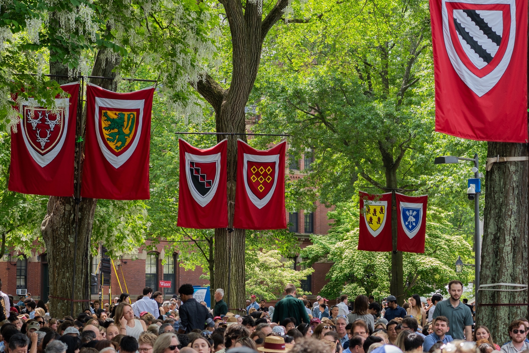 Charisma Chen ’26 Elected First Marshal for Harvard College Class of ...