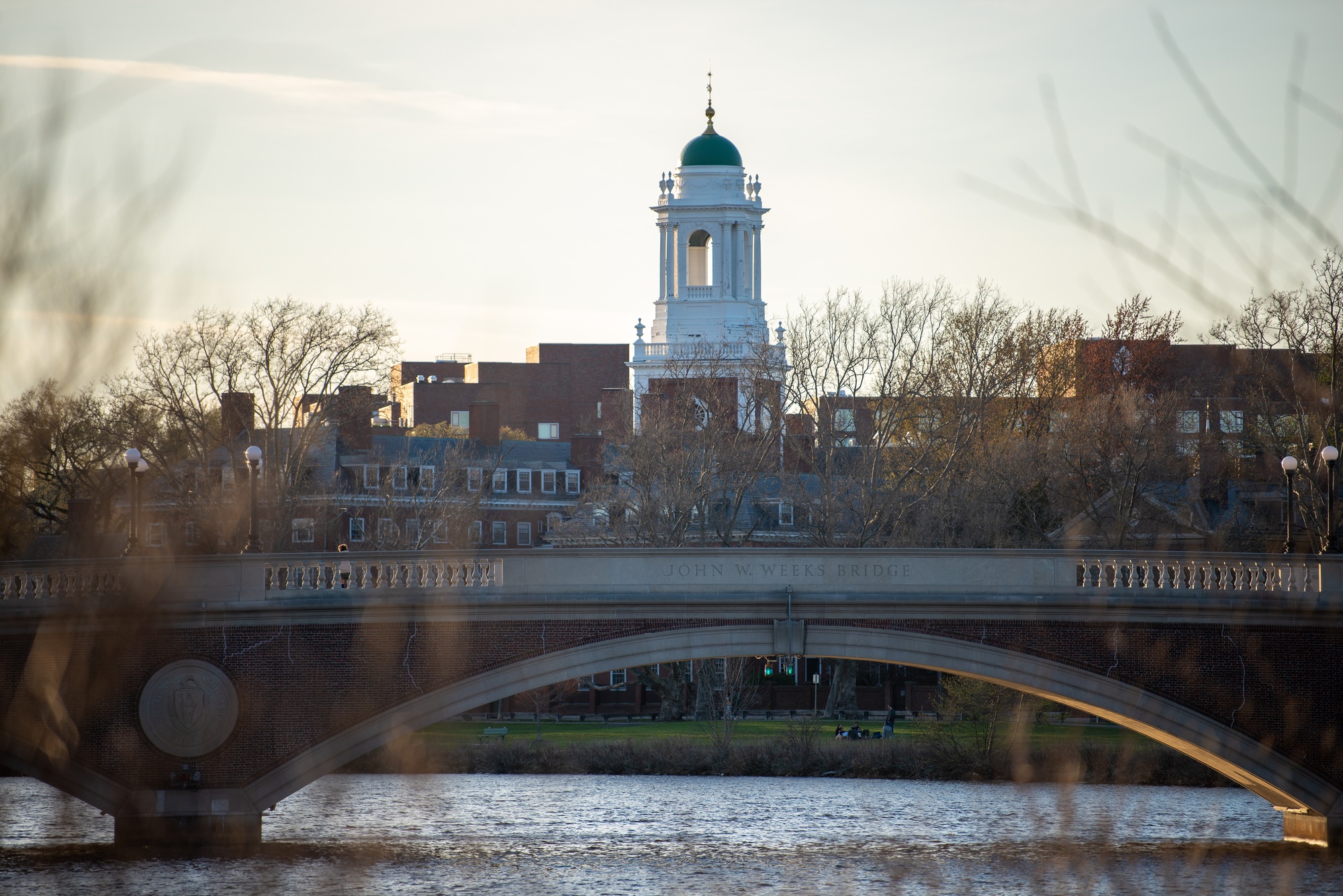 Harvard Could Face Uphill Battle in Court as It Challenges Trump’s ...