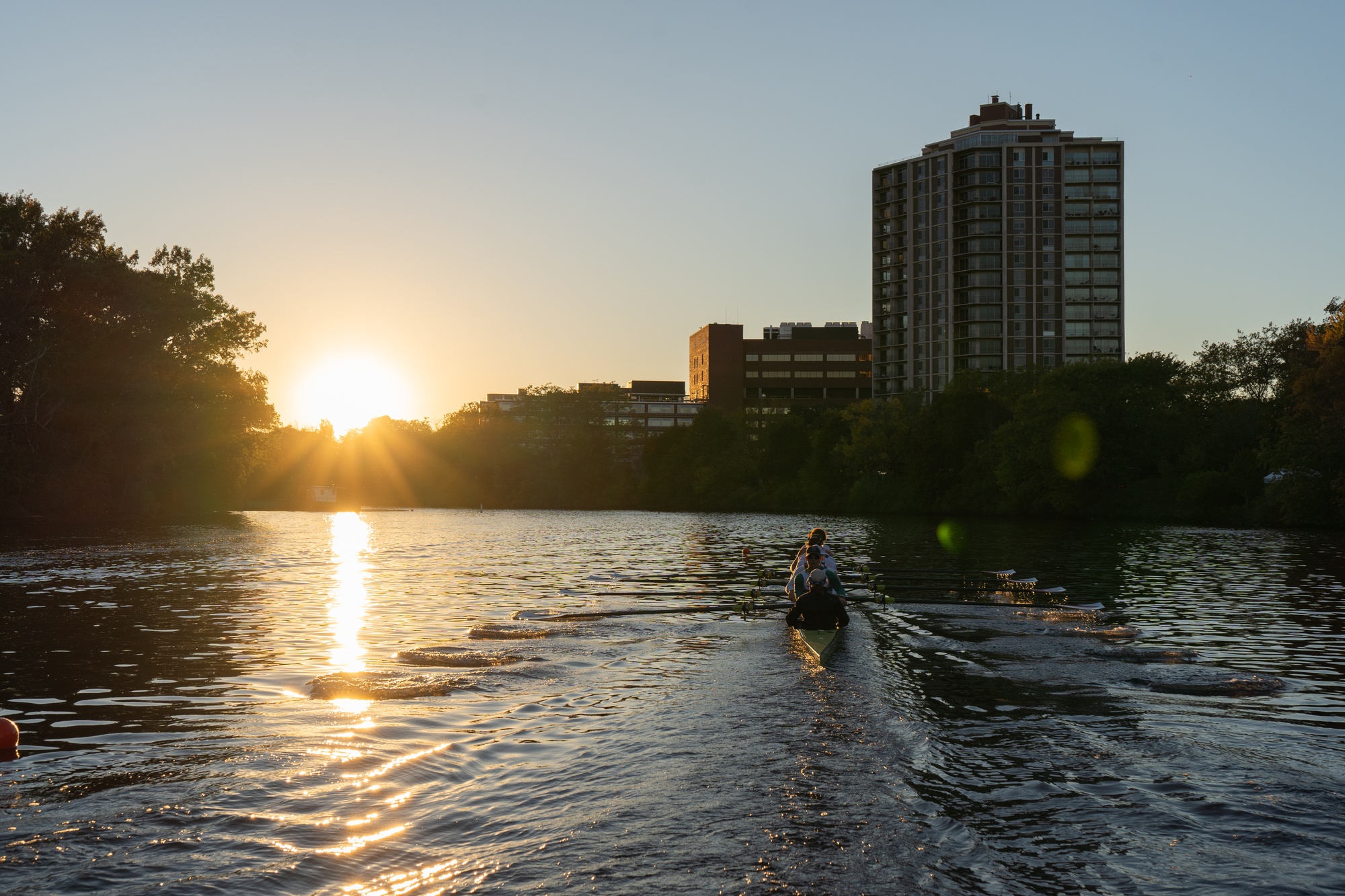 Celebrating Rowing: Harvard’s Rowing Teams Look Forward to Head of the ...
