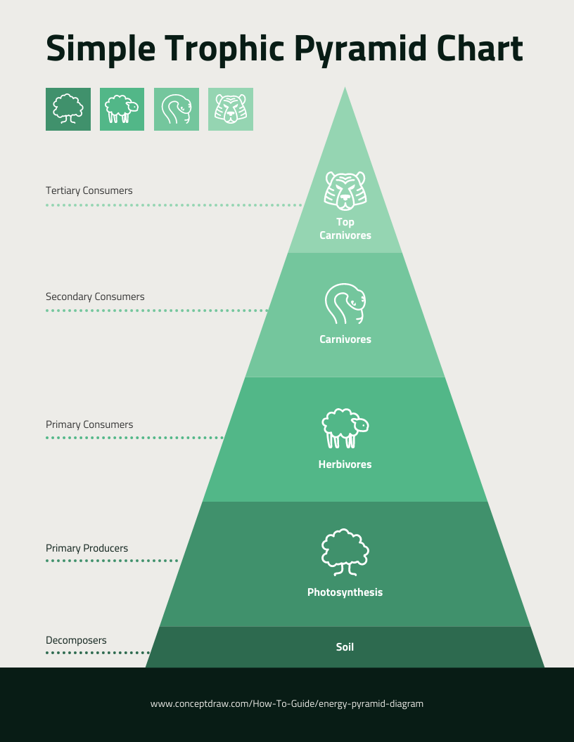 Pyramid Diagram Template