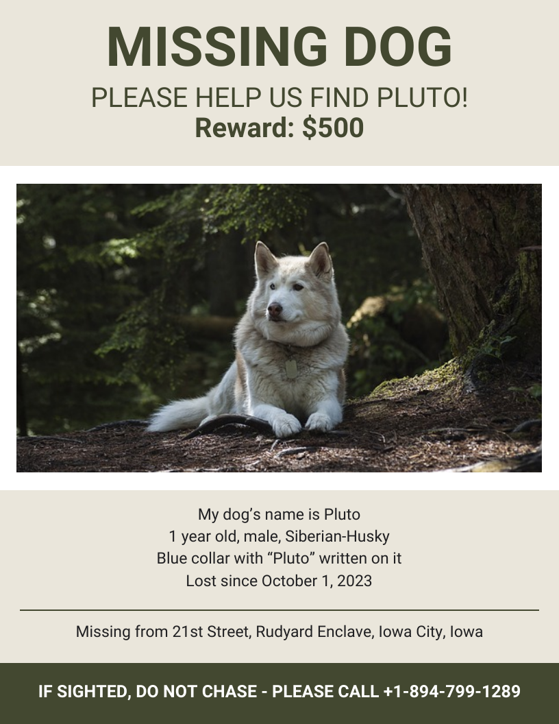 Photo Lost Dog Poster Venngage