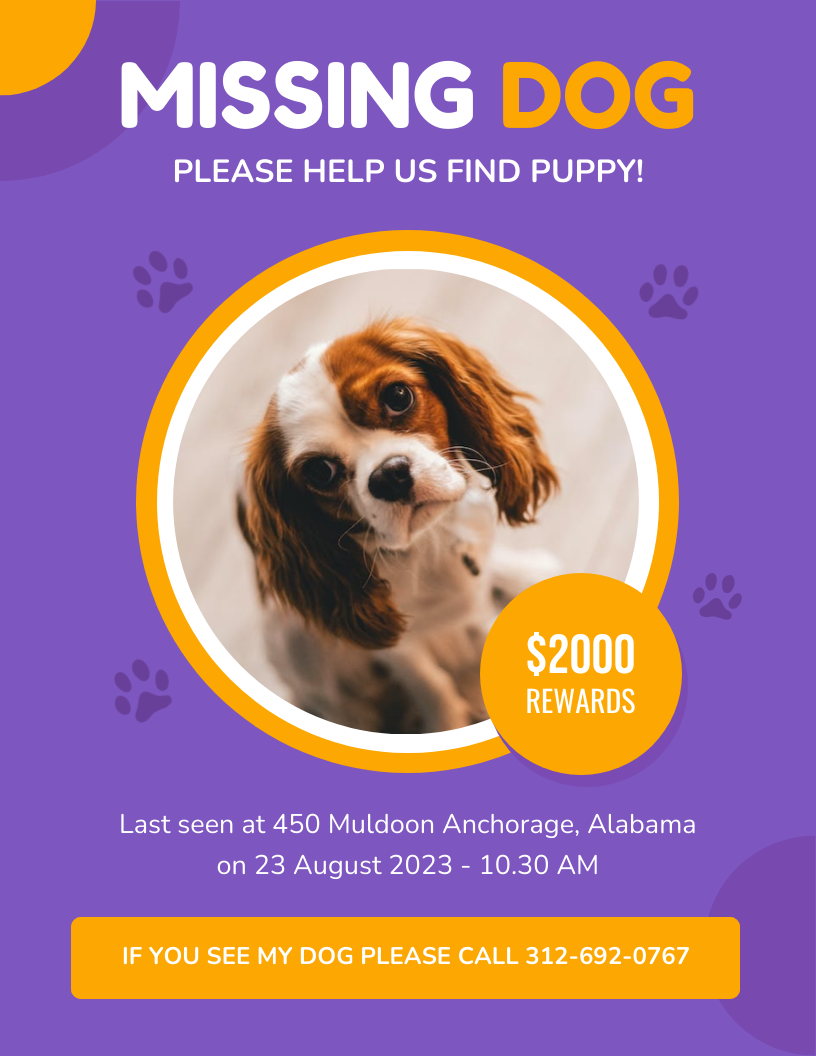 Found Dog Flyer
