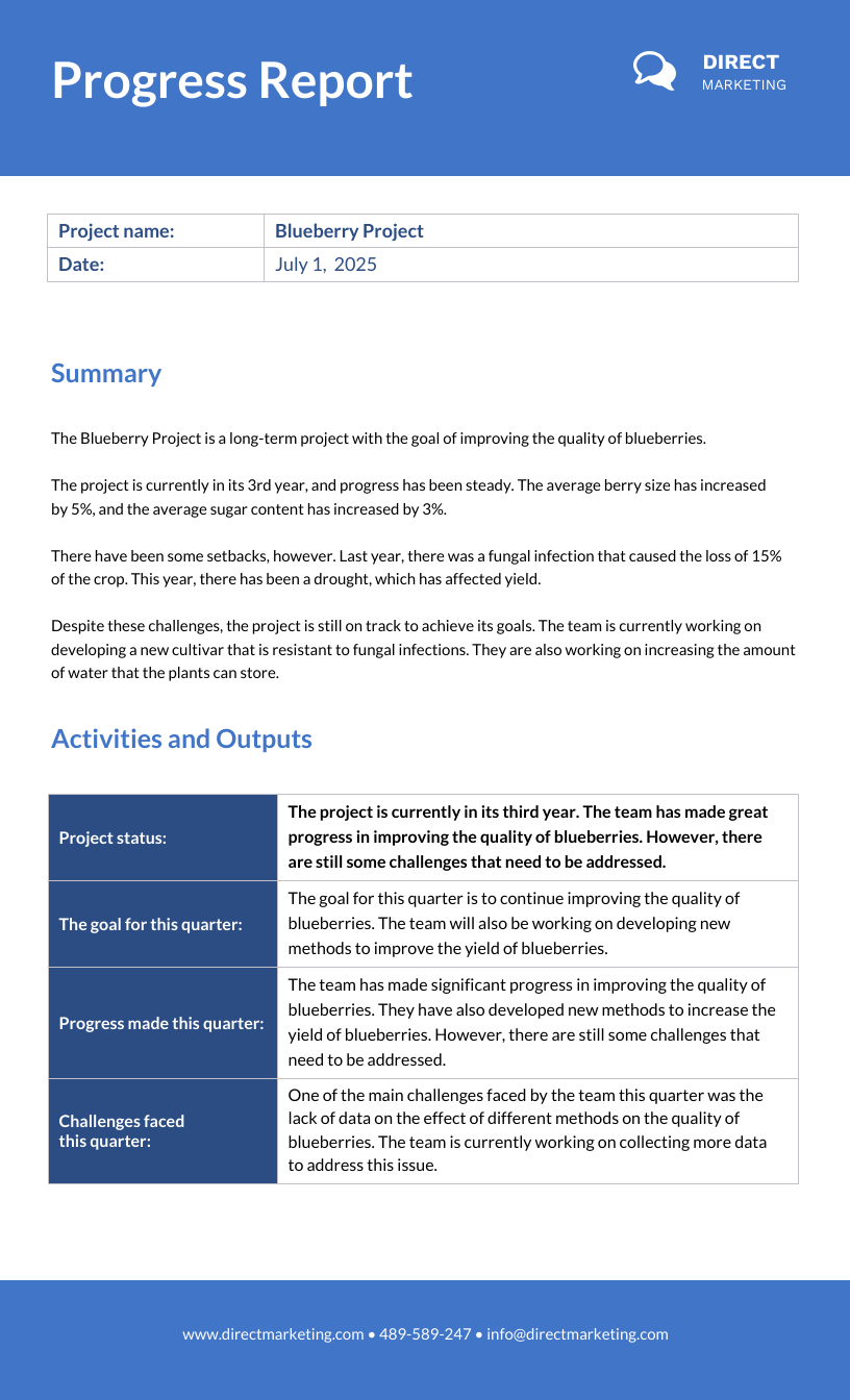 Progress Report Template