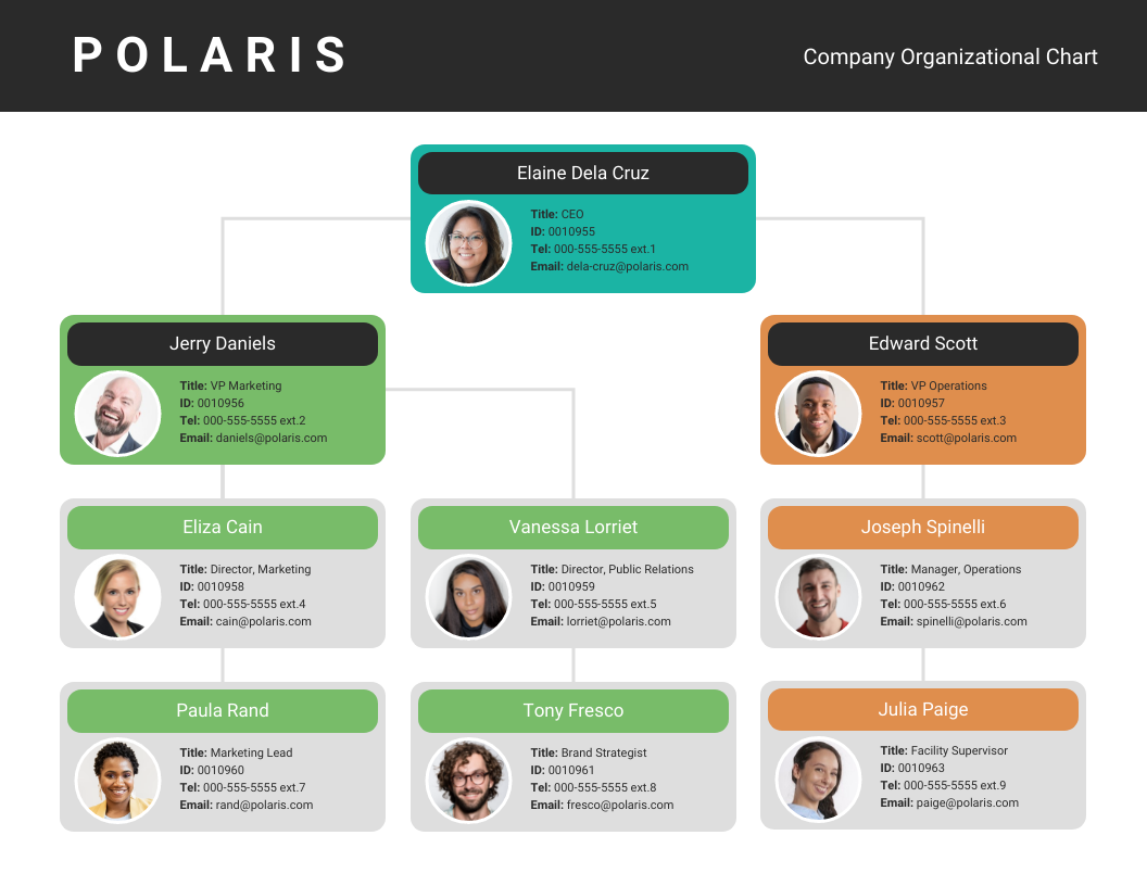 Company Organizational Flow Chart Template Venngage