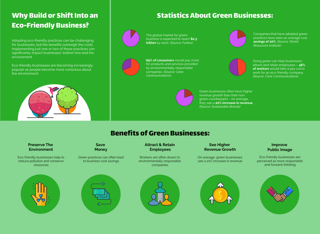 Bio Infographic Template