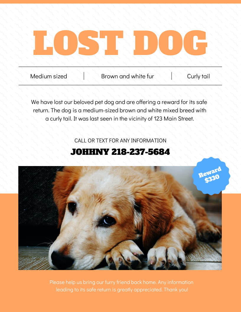 Missing Dog Poster
