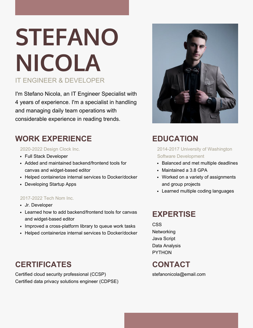 Light Grey And Brown Clean Professional IT Resume
