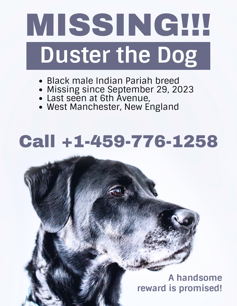 Lost Pet Flyer Template
