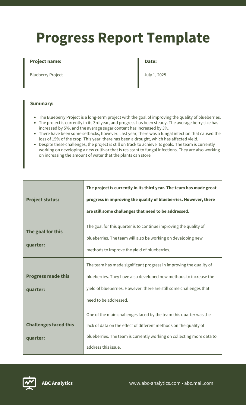 Project Progress Report Template Venngage