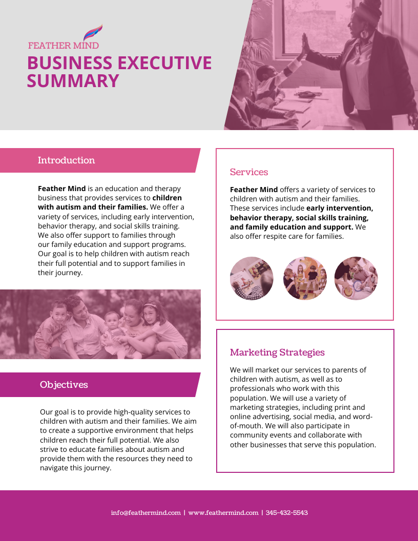 Business Executive Summary Example