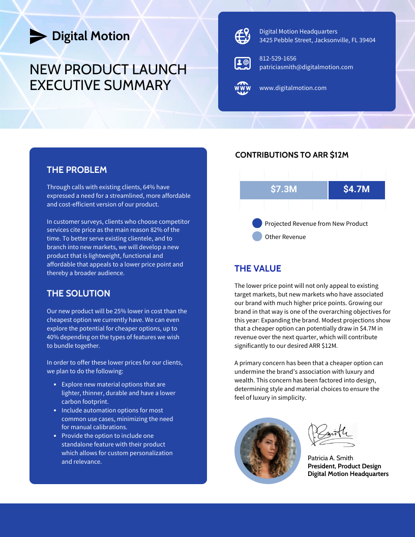 Executive Summary Report Example Venngage