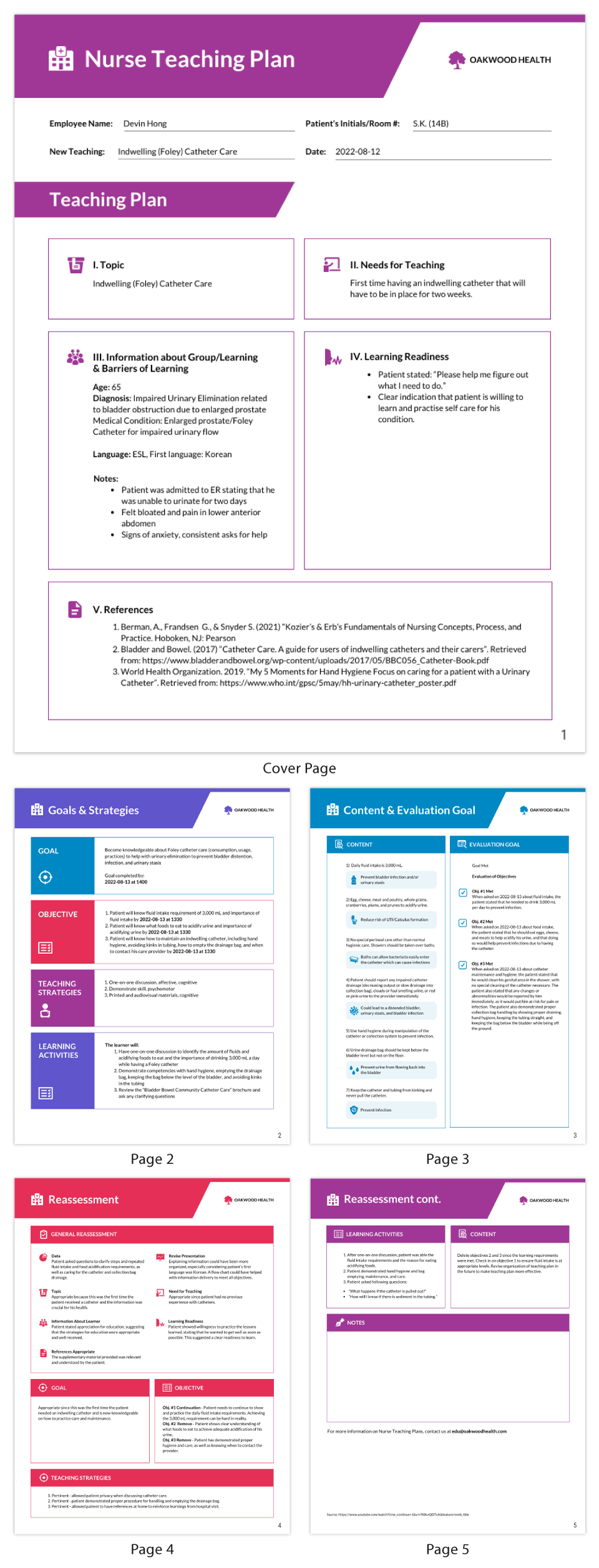 Nursing Development Plan Venngage