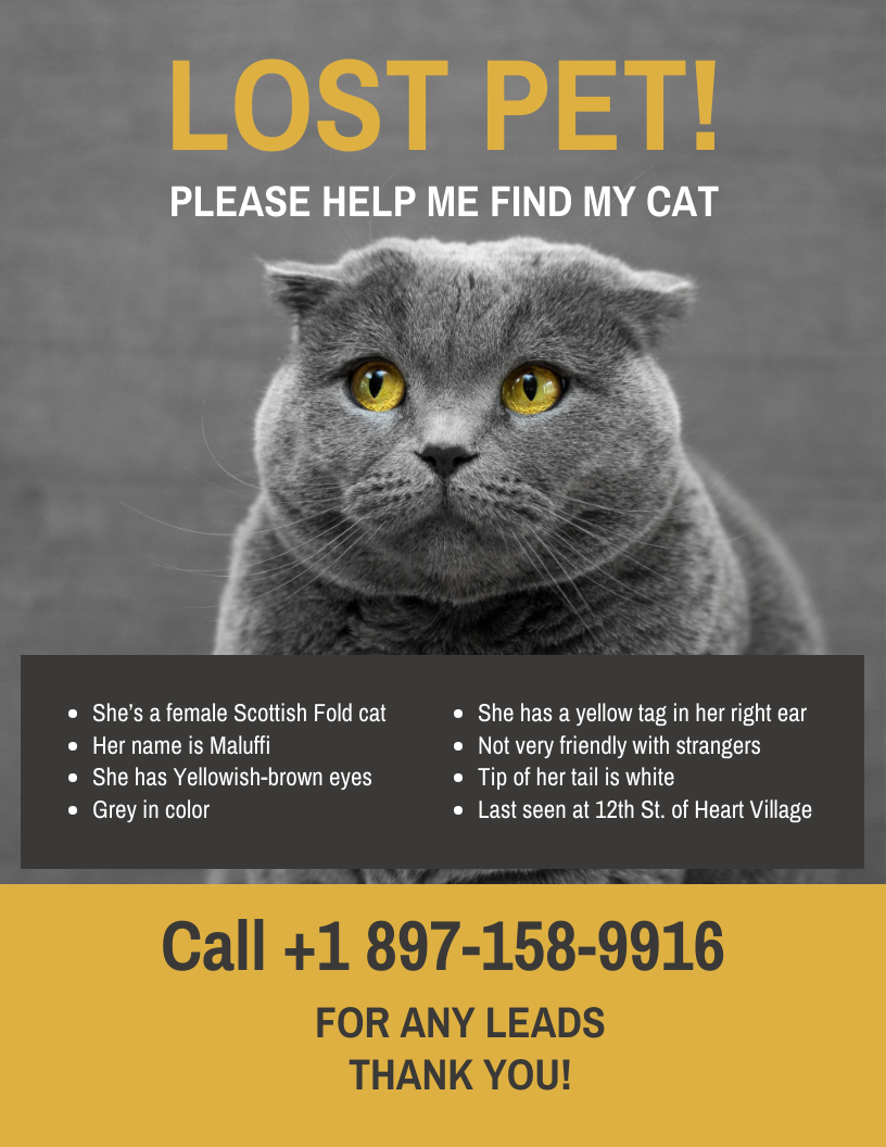 Yellow Black Missing Cat Poster Template Venngage