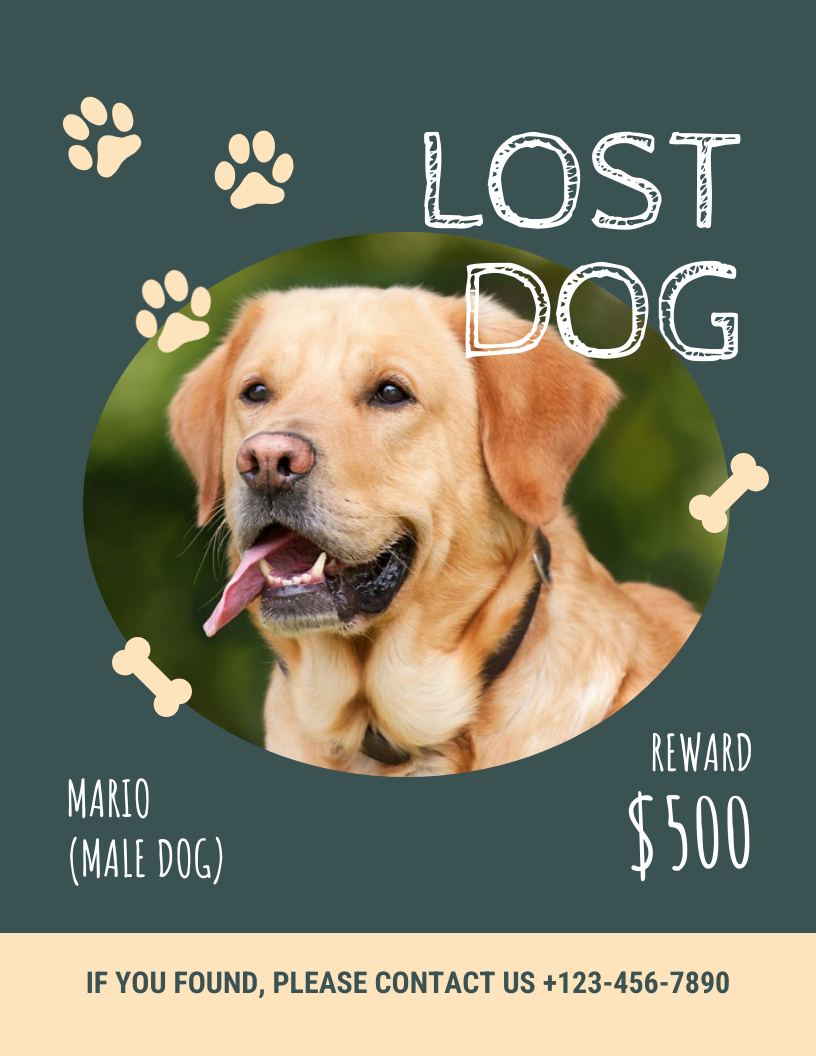 Mineral Green Lost Dog Flyer Template Venngage
