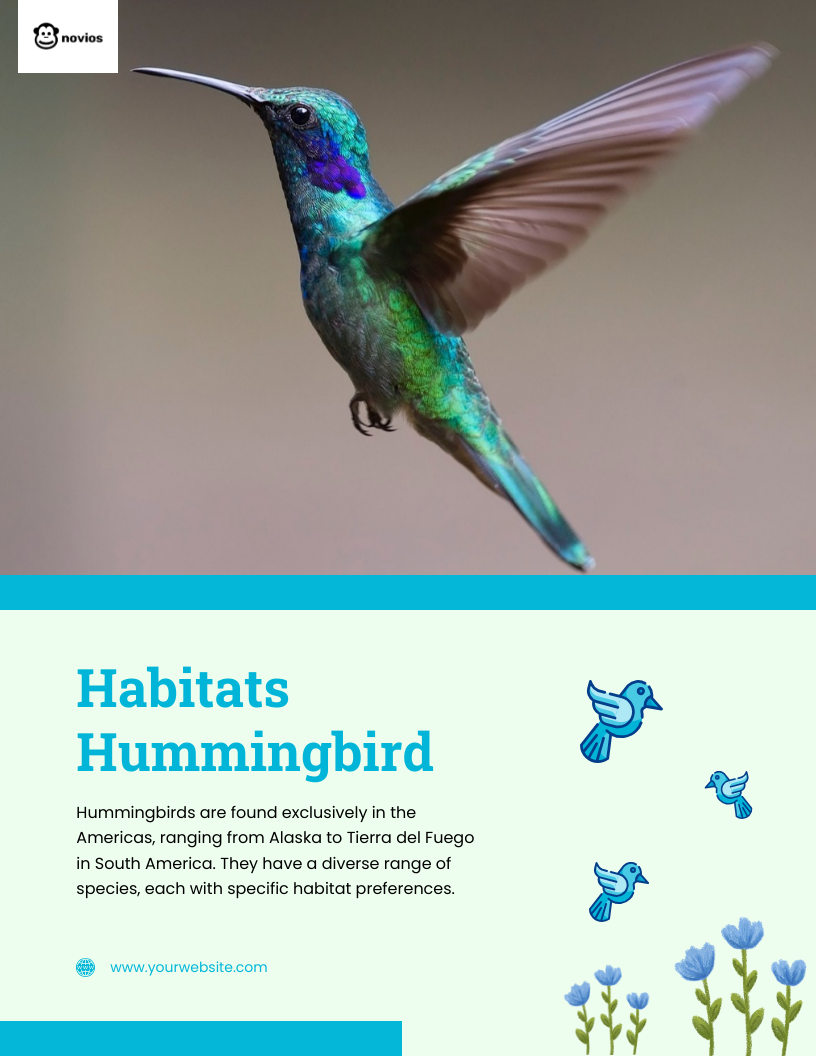 Hummingbird Natural Habitat Blue Flyer