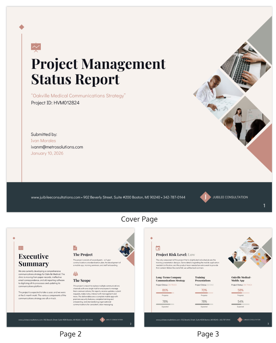 Management Report Template Venngage
