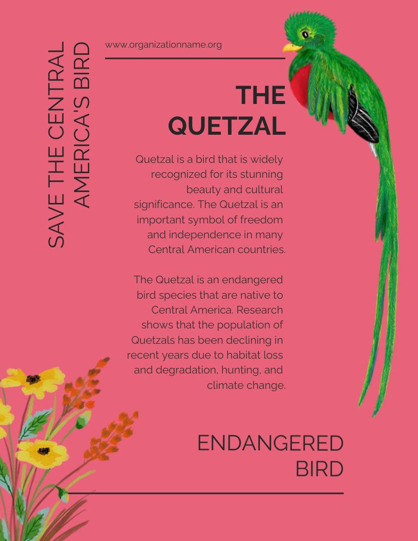 Vintage Retro Style Save Endangered Birds The Quetzal Template