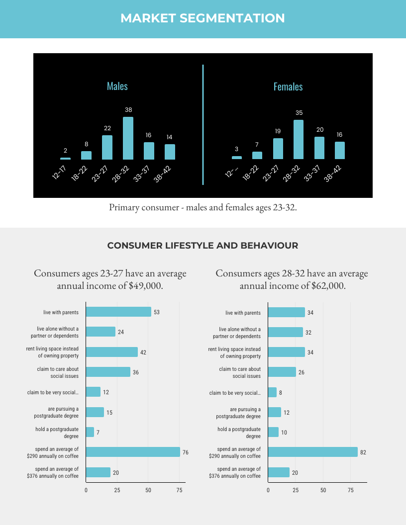 Market Segmentation Report Venngage