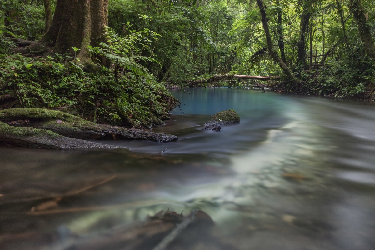 Celeste River and Tenorio Volcano National Park Hike - Ecoterra Costa Rica