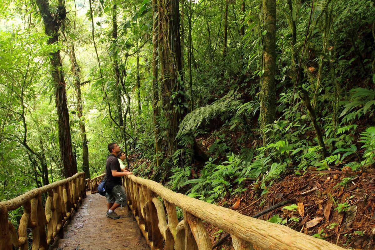 Celeste River and Tenorio Volcano National Park Hike - Ecoterra Costa Rica