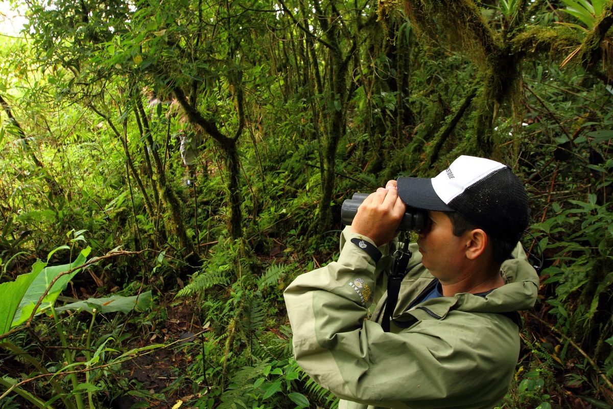 Birdwatching - Ecoterra Costa Rica