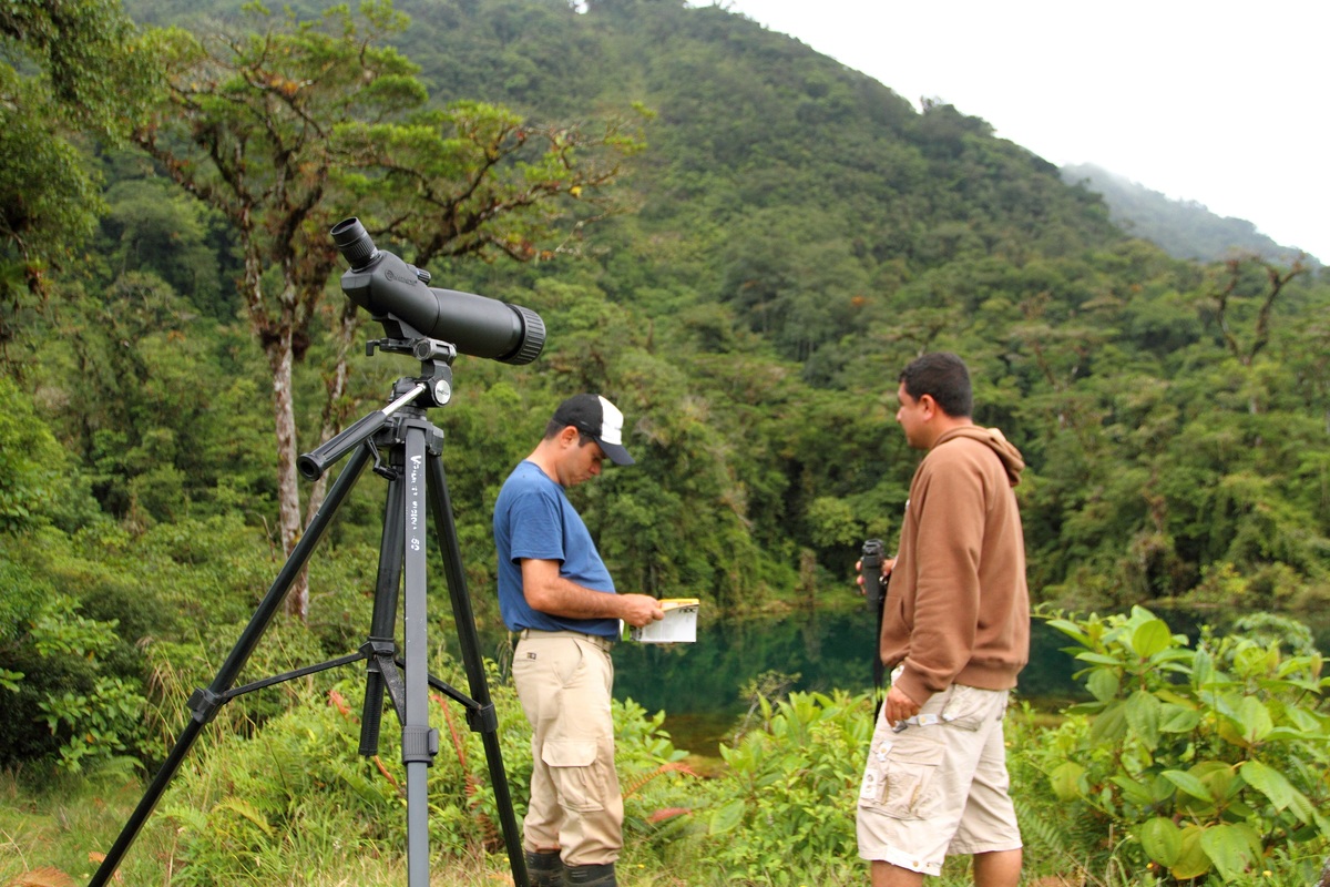Birdwatching - Ecoterra Costa Rica