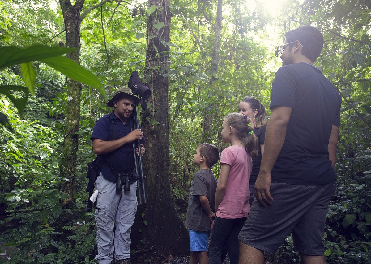 Sloth Watching Tour Day or Night Experience Costa Rica - Ecoterra Costa ...