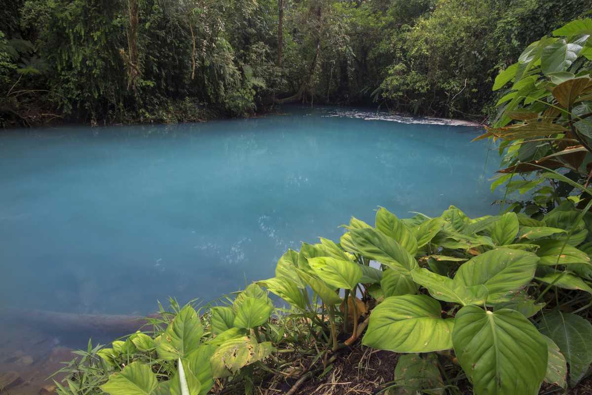 Celeste River and Tenorio Volcano National Park Hike - Ecoterra Costa Rica