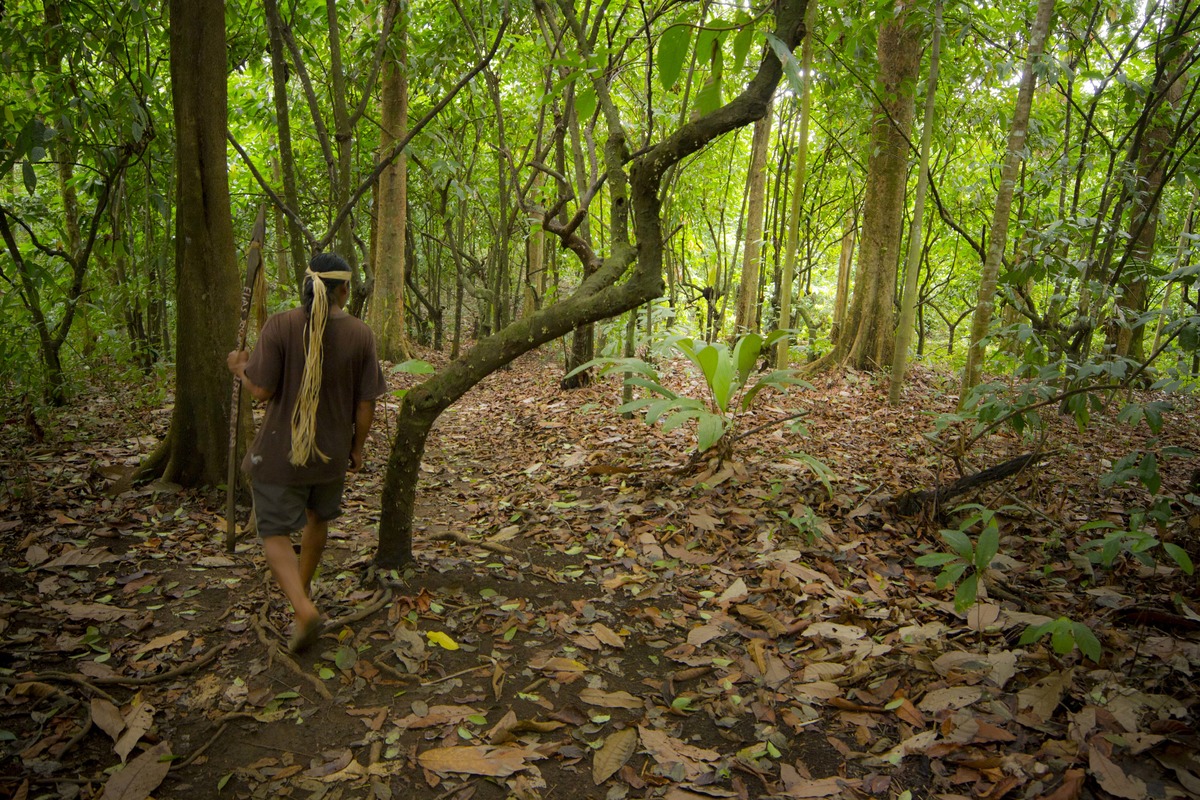 Maleku Indigenous Reserve - Ecoterra Costa Rica