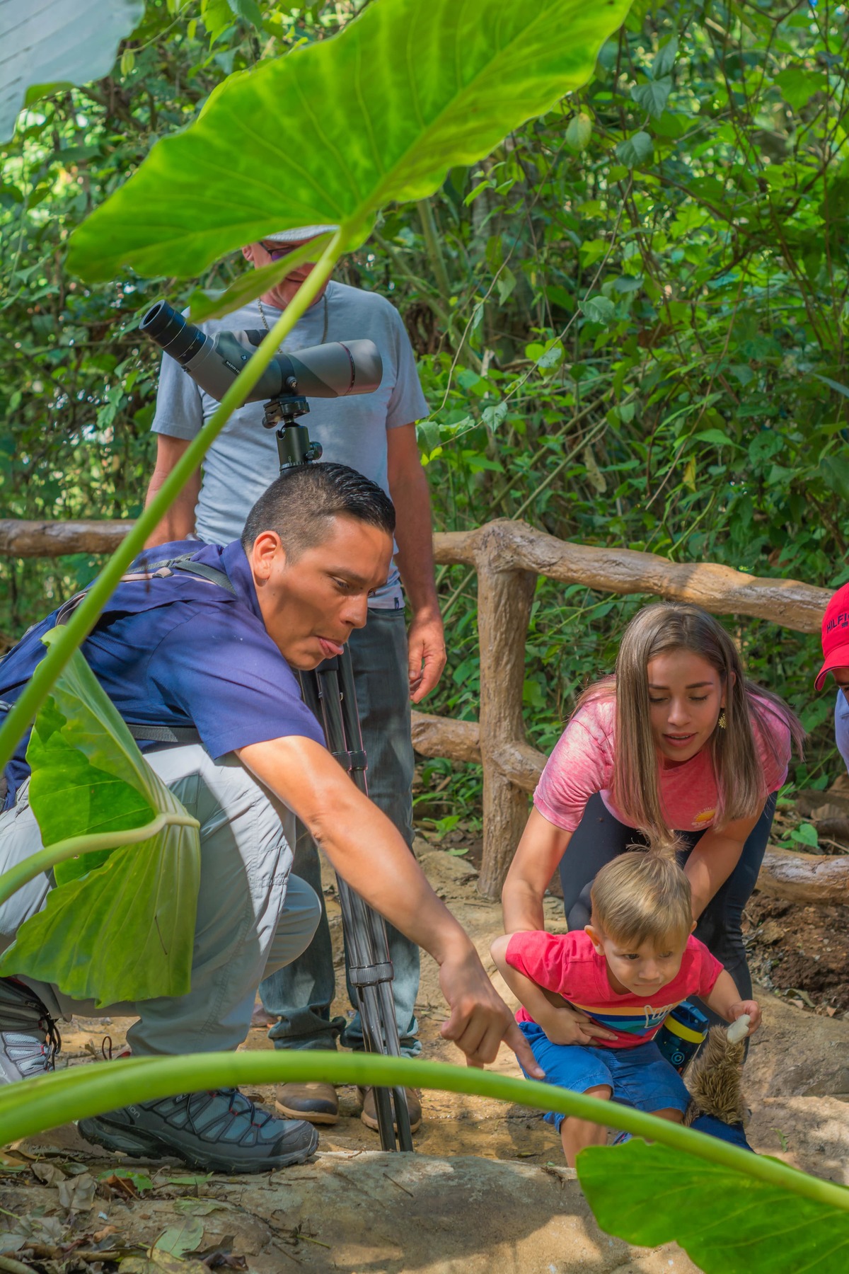Sloth Watching Tour Day or Night Experience Costa Rica - Ecoterra Costa ...