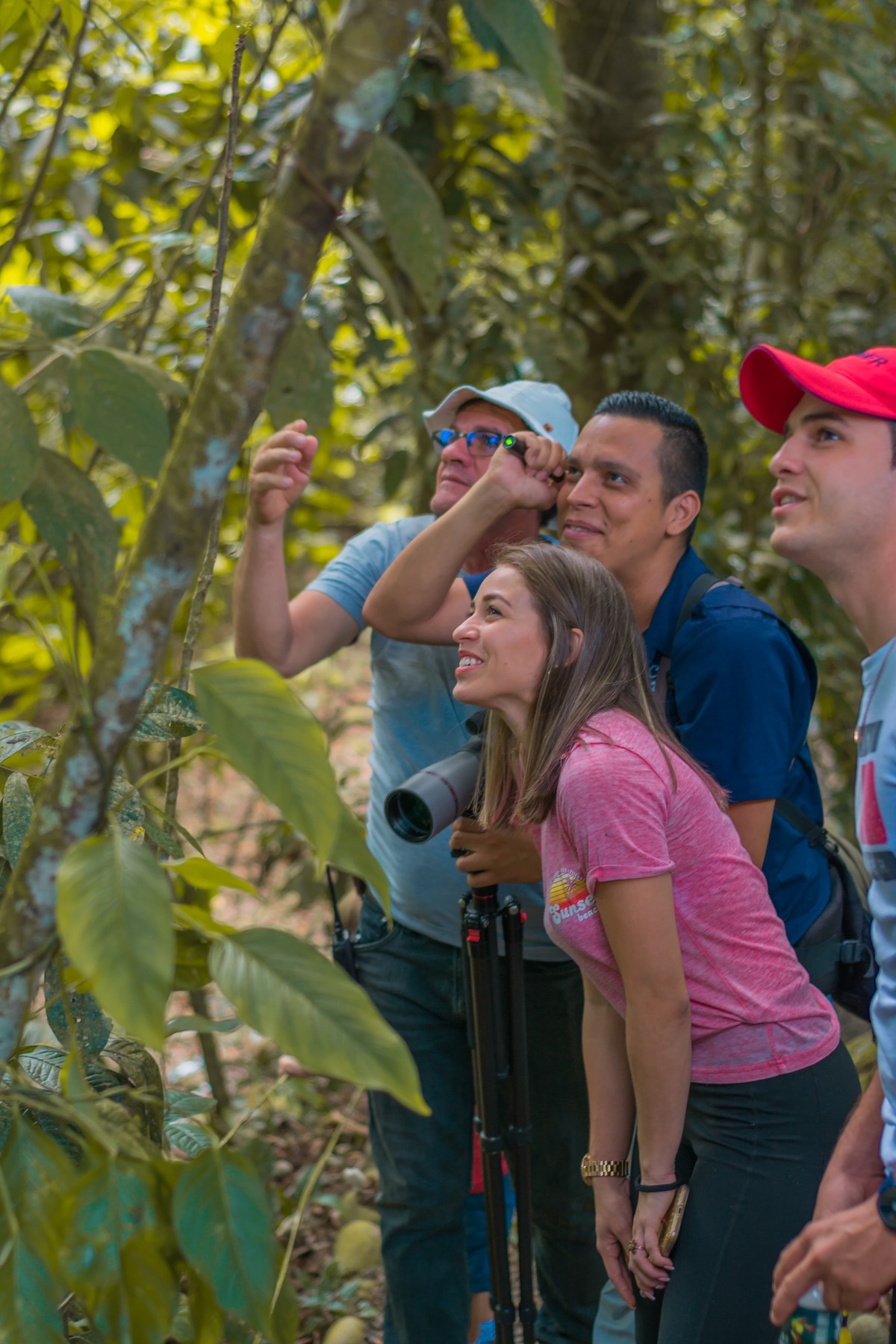 Sloth Watching Tour Day or Night Experience Costa Rica - Ecoterra Costa ...
