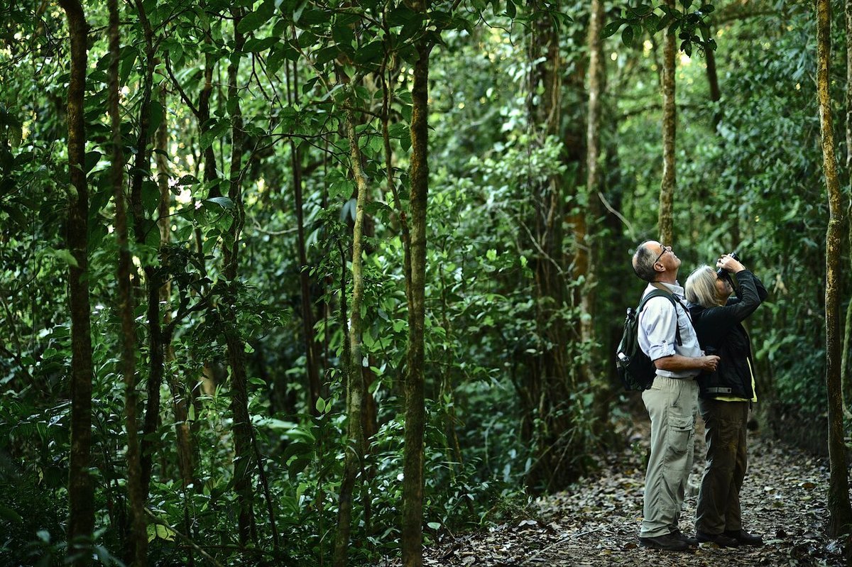 Monteverde Cloud Forest Reserve Hike - Costa Rica Insider