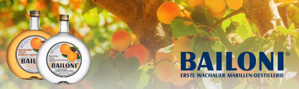 Bailoni Original - Gold Apricot Brandy — TIPXY