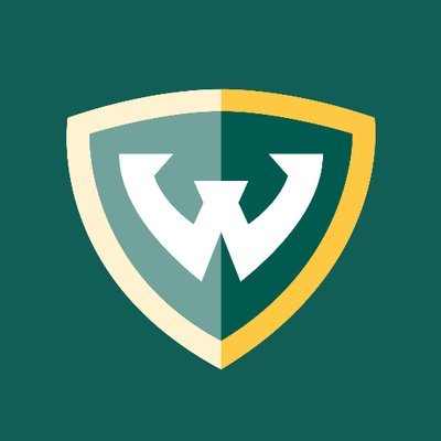 Wayne State - The D Zone Football