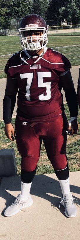Wayne State Warriors - The D Zone Football