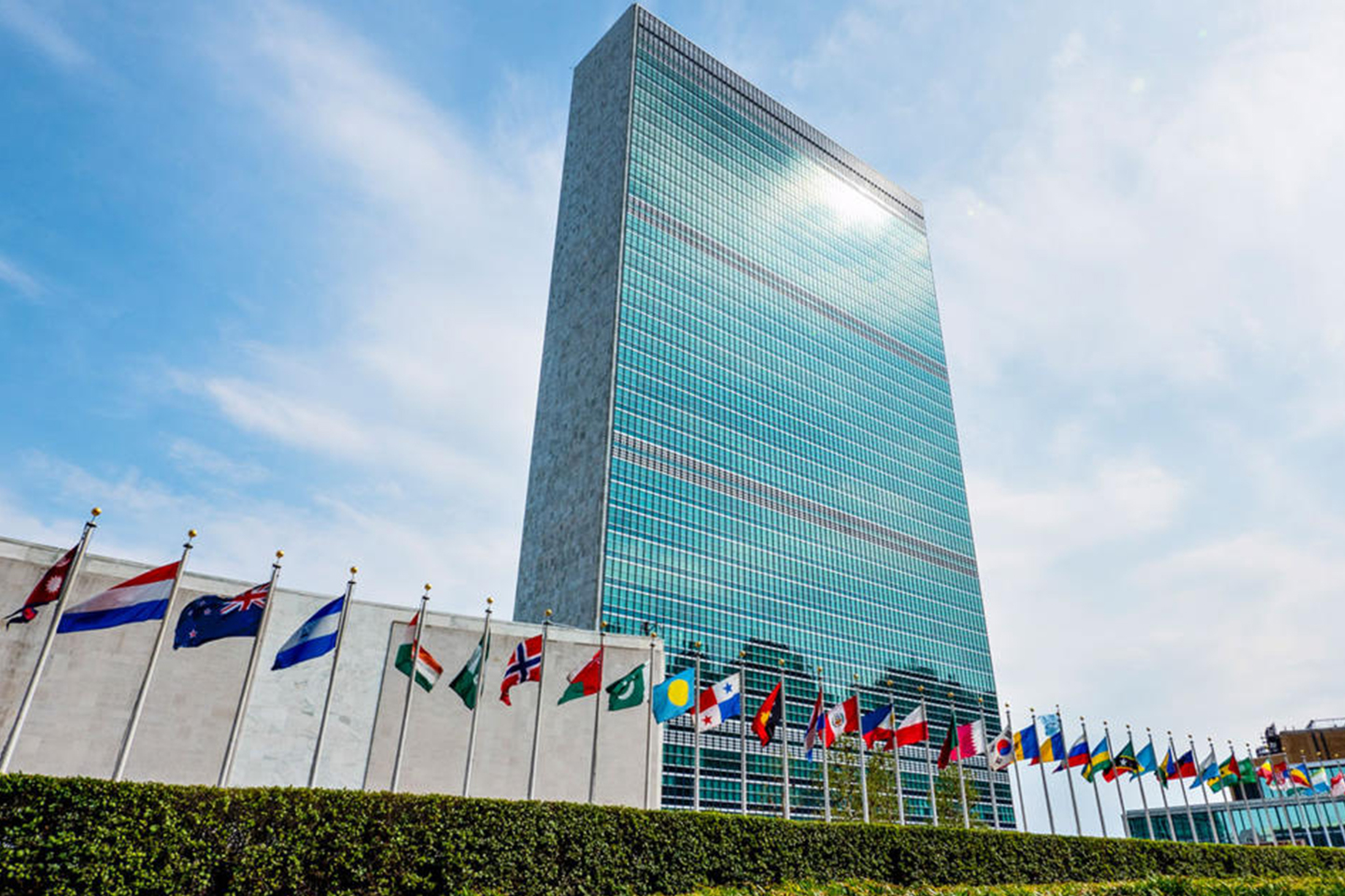 United Nations Studies Certificate | Continuing & Professional ...