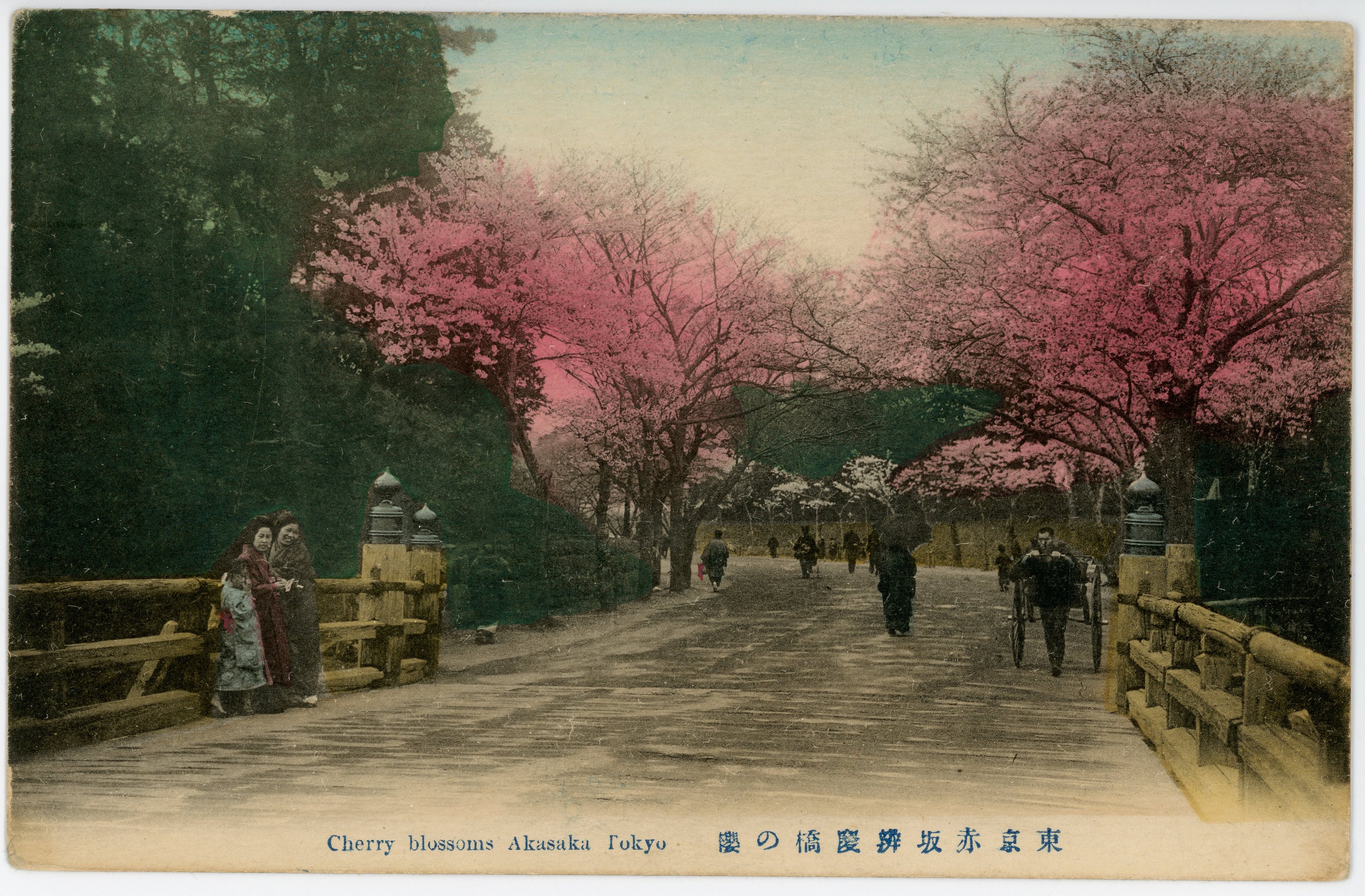 Tokyo Akasaka benkeibashi no sakura · Tokyo Urban Culture