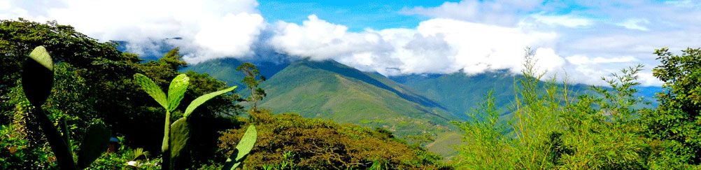 Región de las Yungas