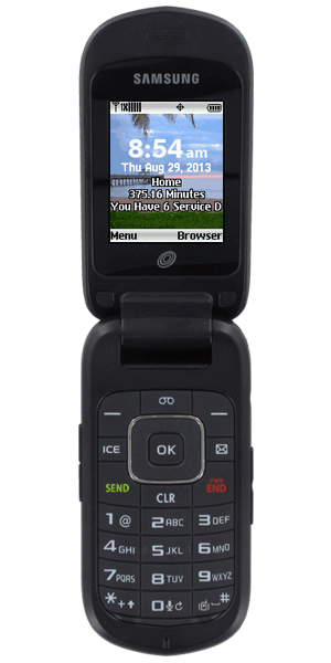 Samsung SCH-S336C - SafeLink Wireless