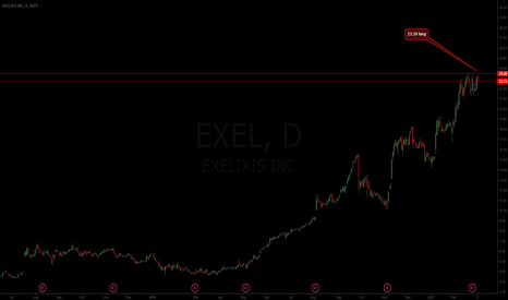 EXEL Stock Price and Chart — TradingView