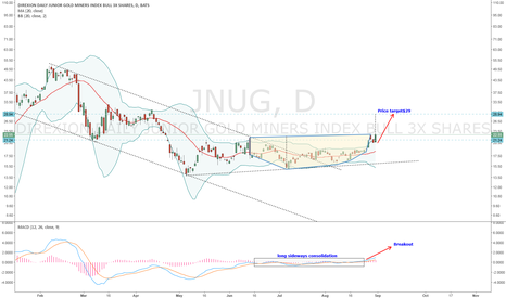 JNUG Stock Price and Chart — TradingView