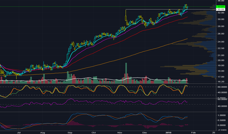 MTCH Stock Price and Chart — TradingView