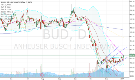 BUD Stock Price and Chart — TradingView