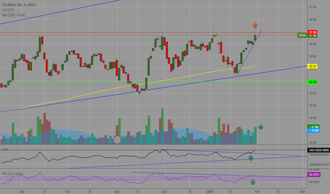 TDOC Stock Price and Chart — TradingView