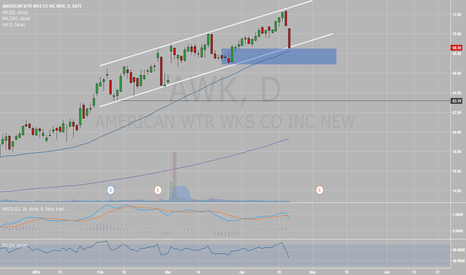 AWK Stock Price and Chart — TradingView