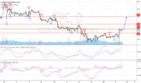 PPC Stock Price and Chart — TradingView