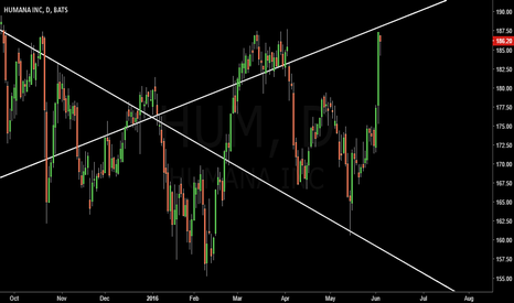 HUM Stock Price and Chart — TradingView